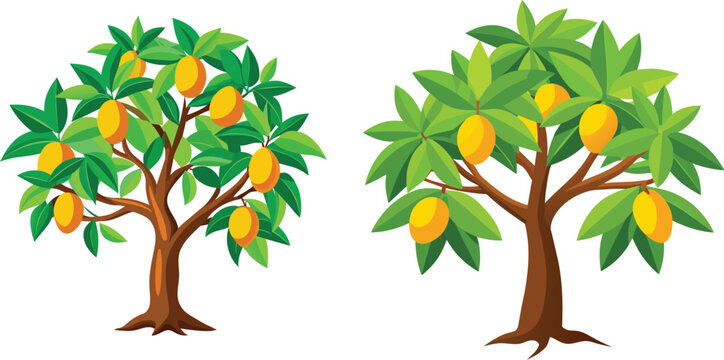 Mango Tree Clip Art