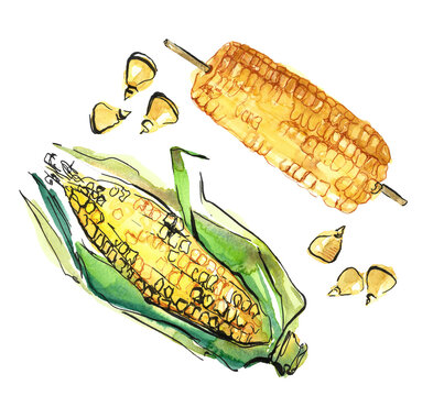 "Shelled Corn" Images – Browse 67 Stock Photos, Vectors, and Video ...
