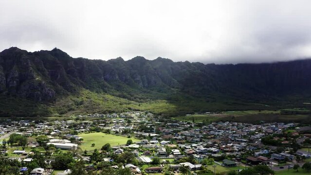 Imágenes de "Kuli: descubre bancos de fotos, ilustraciones, vectores y ...