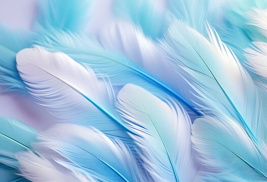 "Feather Background" Images – Browse 3,011 Stock Photos, Vectors, and ...