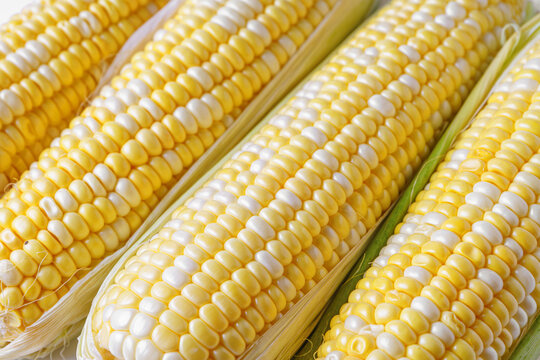 Sweet Corn Images – Browse 452,232 Stock Photos, Vectors, and Video ...
