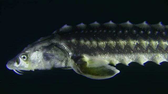 รูปภาพGenofound – เลือกดูภาพถ่ายสต็อก เวกเตอร์ และวิดีโอ97 | Adobe Stock