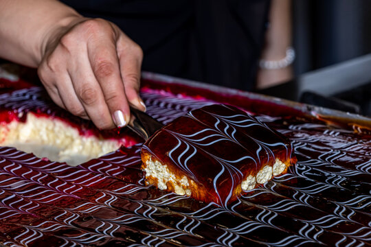 Tirilice Images – Browse 48 Stock Photos, Vectors, and Video | Adobe Stock