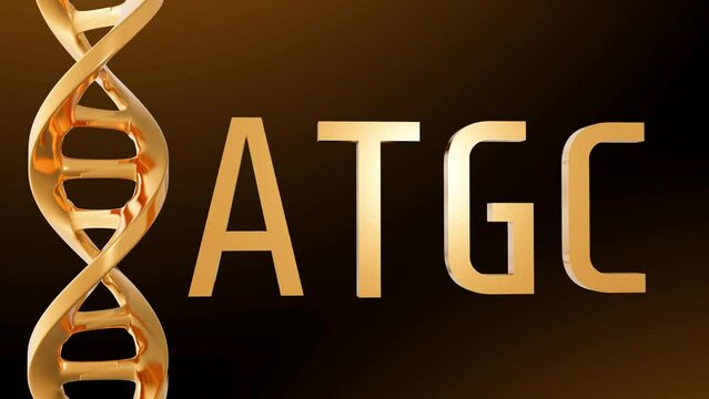 รูปภาพNucleotides – เลือกดูภาพถ่ายสต็อก เวกเตอร์ และวิดีโอ15,110 ...