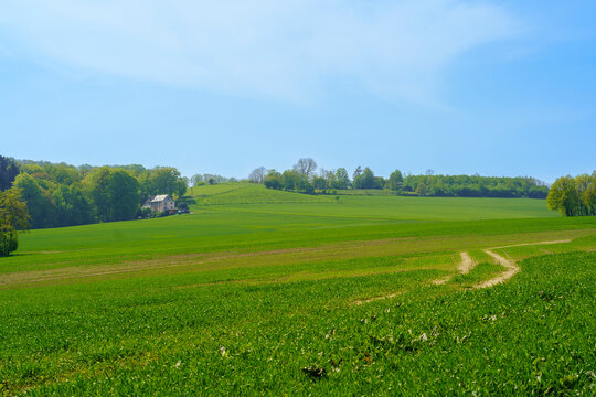 รูปภาพGrass-Land – เลือกดูภาพถ่ายสต็อก เวกเตอร์ และวิดีโอ3,799 | Adobe ...