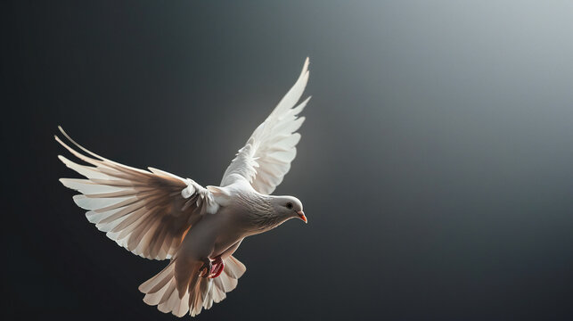 "Dove Flying" Images – Browse 1,913 Stock Photos, Vectors, and Video ...