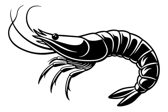 Shrimp Silhouette Images – Browse 13,523 Stock Photos, Vectors, and ...