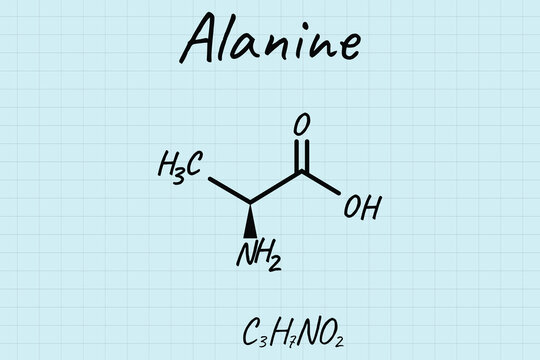 รูปภาพValine – เลือกดูภาพถ่ายสต็อก เวกเตอร์ และวิดีโอ1,151 | Adobe Stock