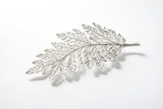 "Silver Fern" Images – Browse 1,019 Stock Photos, Vectors, and Video ...