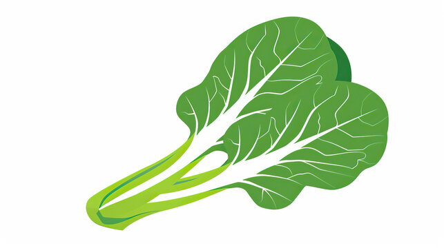 "Pak Choi" Images – Browse 92,038 Stock Photos, Vectors, and Video ...