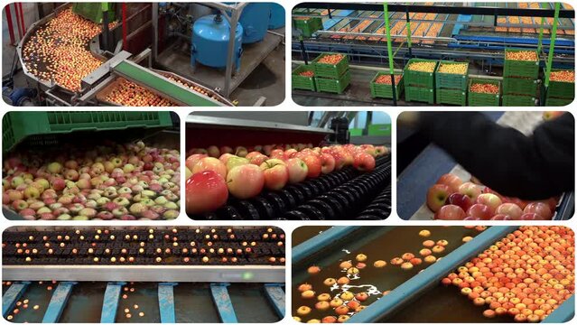 Imágenes de "Process Engineering": descubre bancos de fotos ...