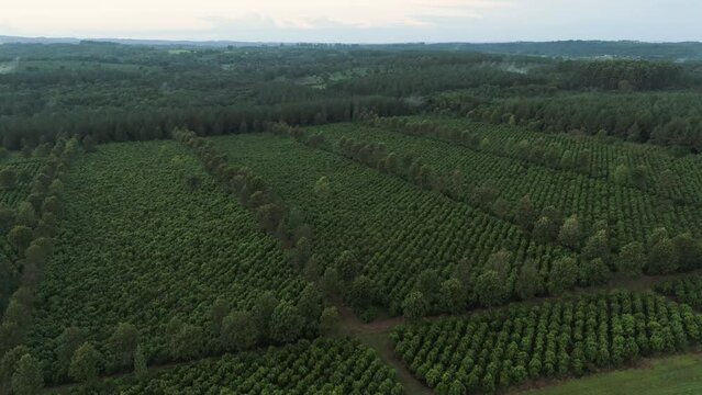 "Extensive Farming" Images – Browse 426 Stock Photos, Vectors, and ...