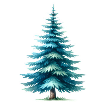 Blue Spruce Drawing Images – Browse 81,012 Stock Photos, Vectors, and ...