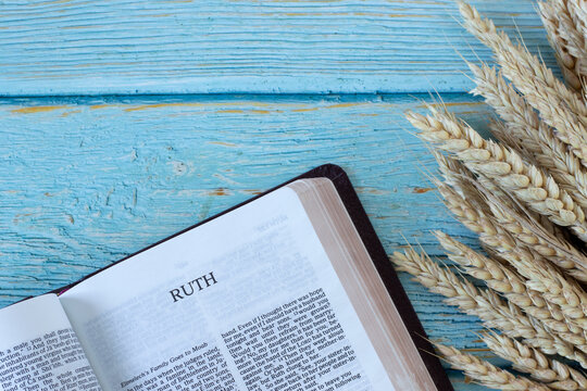 Blank Bible Images – Browse 50,416 Stock Photos, Vectors, and Video ...