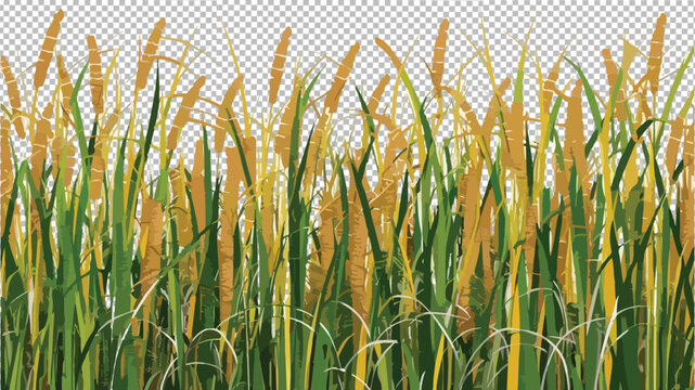 Switchgrass Images – Browse 831 Stock Photos, Vectors, and Video ...