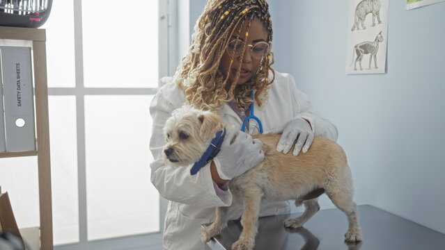 African Veterinarians Images – Browse 4,976 Stock Photos, Vectors, and ...