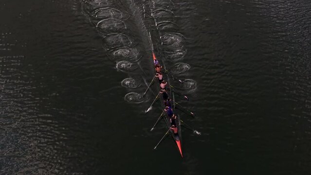 "Competitive Rowing" Images – Browse 121 Stock Photos, Vectors, and ...