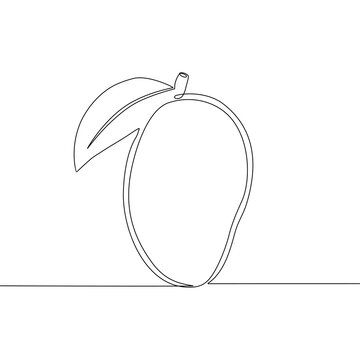 Mango Line Drawing Images – Browse 8,192 Stock Photos, Vectors, and ...