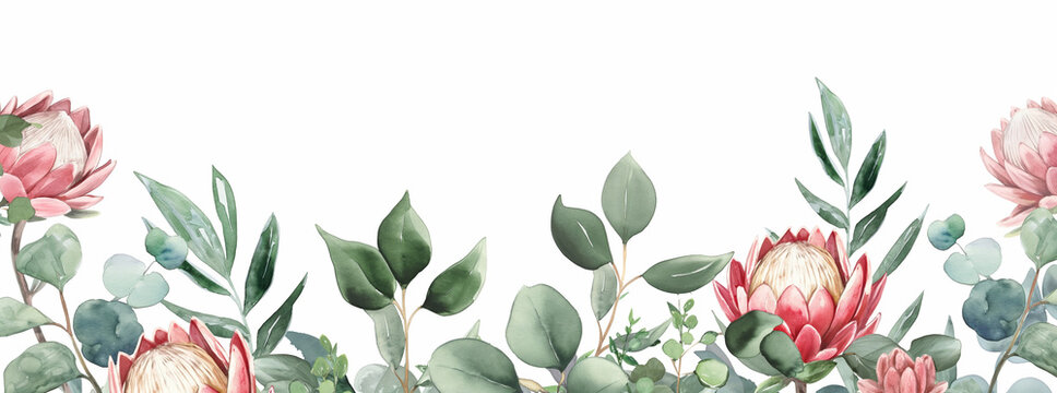 Protea Border Images – Browse 2,724 Stock Photos, Vectors, and Video ...