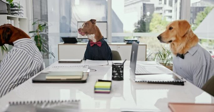 Dog Teamwork Images – Browse 27,163 Stock Photos, Vectors, and Video ...