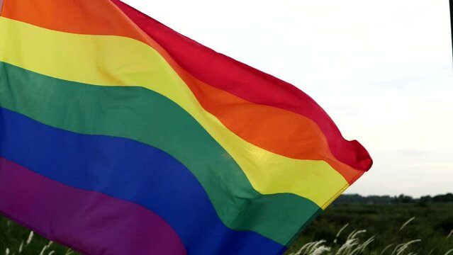 Trans Pride Flag Images – Browse 28,519 Stock Photos, Vectors, and ...