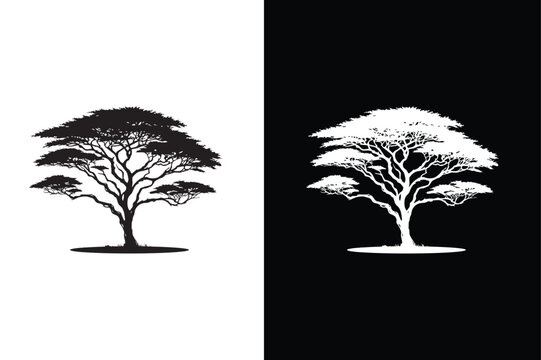 African Acacia Tree Silhouette