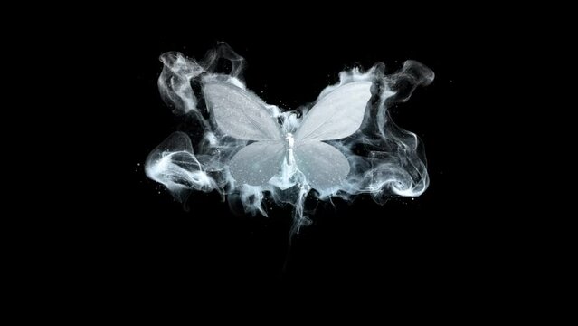 "White Butterfly" Images – Browse 2,497 Stock Photos, Vectors, and ...