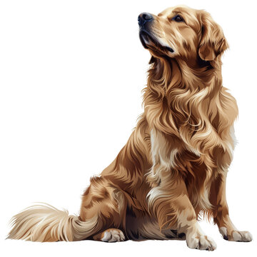 Dog Head Side Images – Browse 21,549 Stock Photos, Vectors, and Video ...