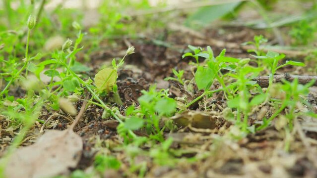 Order Forms Images – Browse 60,562 Stock Photos, Vectors, and Video | Adobe Stock