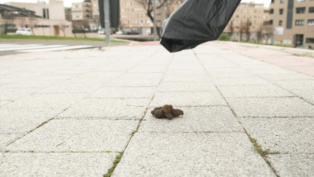 "Poop Bag" Images – Browse 587 Stock Photos, Vectors, and Video | Adobe ...
