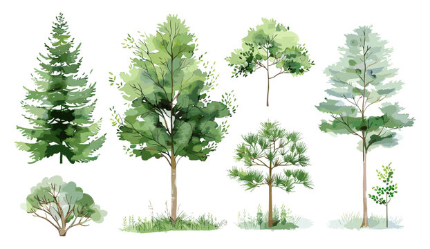 Blue Spruce Drawing Images – Browse 81,012 Stock Photos, Vectors, and ...