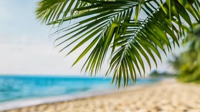 "Beach Foliage" Images – Browse 131 Stock Photos, Vectors, and Video ...