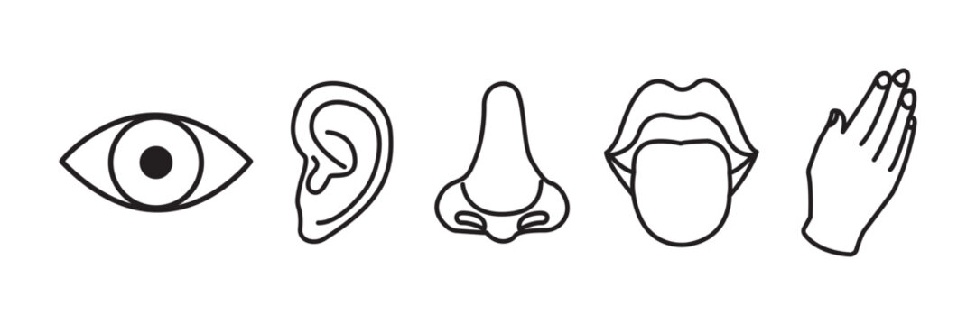 Body Composition Clipart Black And White