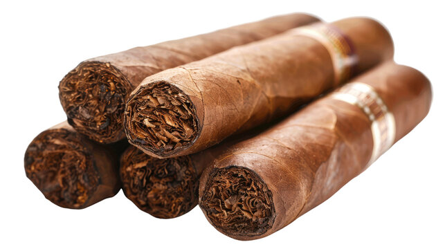 「Tompus」の写真素材 | 45件の無料イラスト画像 | Adobe Stock