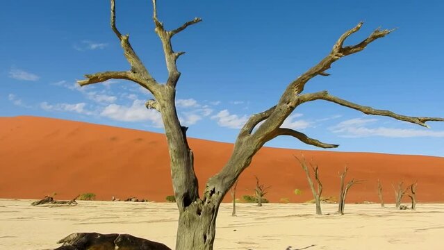 "African Desert" - Images et vidéos libres de droits | Adobe Stock