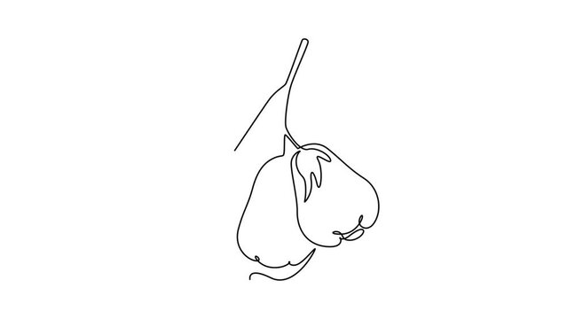 "Bell Fruits" Images – Browse 76 Stock Photos, Vectors, and Video ...