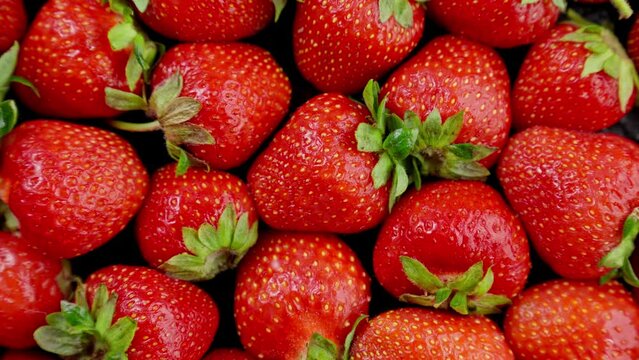 "Red Strawberry" Images – Browse 4,319 Stock Photos, Vectors, and Video ...