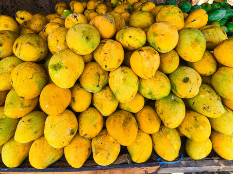 "Alphonso Mango" Images – Browse 1,040 Stock Photos, Vectors, and Video ...