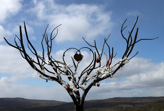 "Iron Tree"-Bilder: Stock-Fotos & -Videos. | Adobe Stock