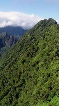 「Marau」の写真素材 | 423件の無料イラスト画像 | Adobe Stock