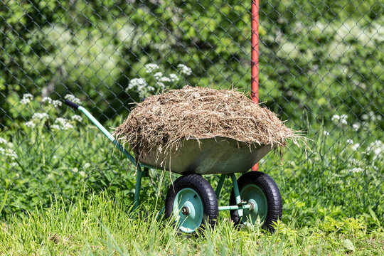 Compost Pit Images – Browse 843 Stock Photos, Vectors, and Video ...