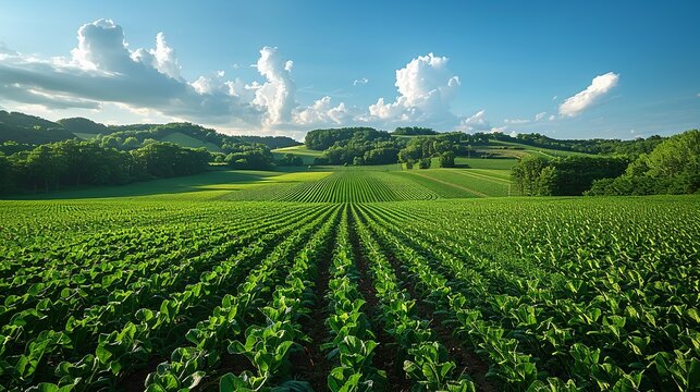 Crop Images – Browse 5,173,053 Stock Photos, Vectors, and Video | Adobe ...