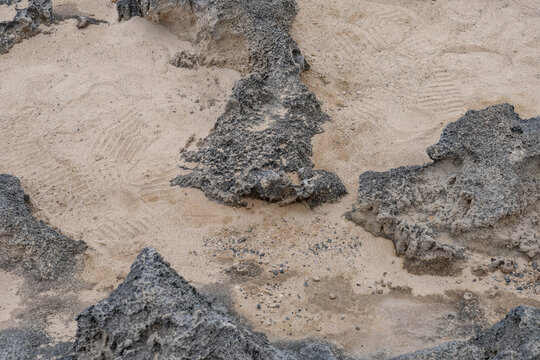 รูปภาพLithification – เลือกดูภาพถ่ายสต็อก เวกเตอร์ และวิดีโอ260 | Adobe ...