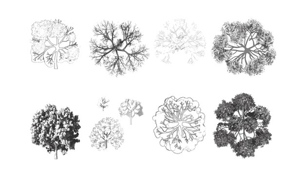 Trees Line Drawing Images – Browse 826,019 Stock Photos, Vectors, and ...