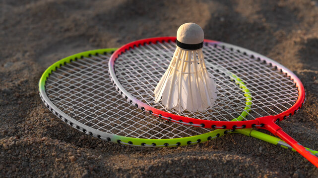 "Badminton Court" Images – Browse 3,831 Stock Photos, Vectors, and ...