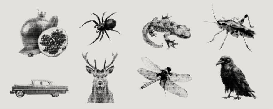 รูปภาพBitmap – เลือกดูภาพถ่ายสต็อก เวกเตอร์ และวิดีโอ63,841 | Adobe Stock