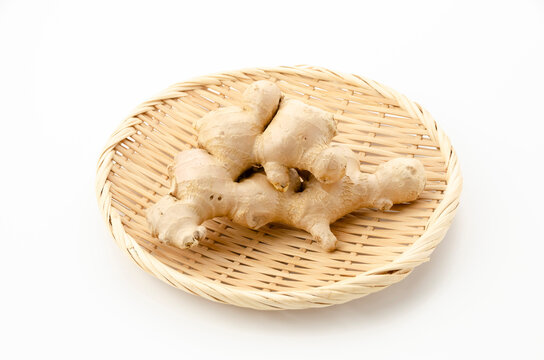 "Ginger Family" Images – Browse 5,079 Stock Photos, Vectors, and Video ...
