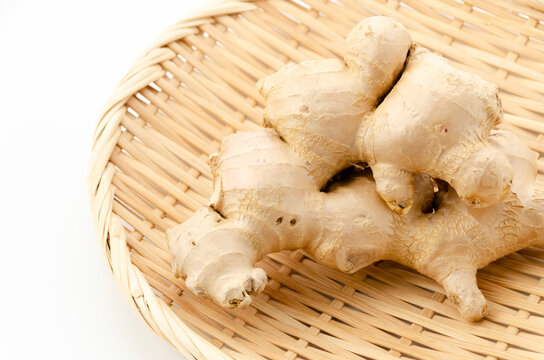 "Ginger Family" Images – Browse 5,075 Stock Photos, Vectors, and Video ...