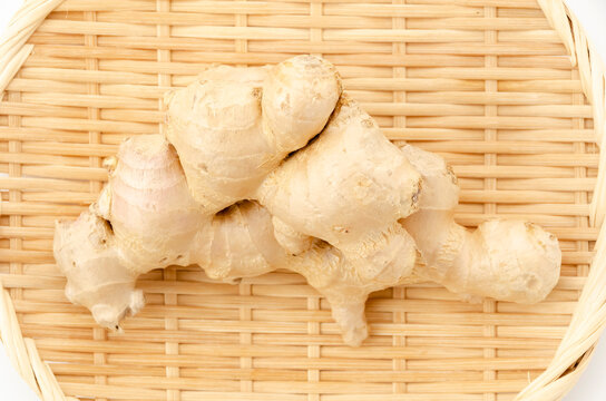 "Ginger Family" Images – Browse 5,079 Stock Photos, Vectors, and Video ...