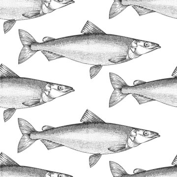 รูปภาพSheat-Fish – เลือกดูภาพถ่ายสต็อก เวกเตอร์ และวิดีโอ1,958 | Adobe ...